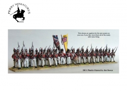 British Line Infantry